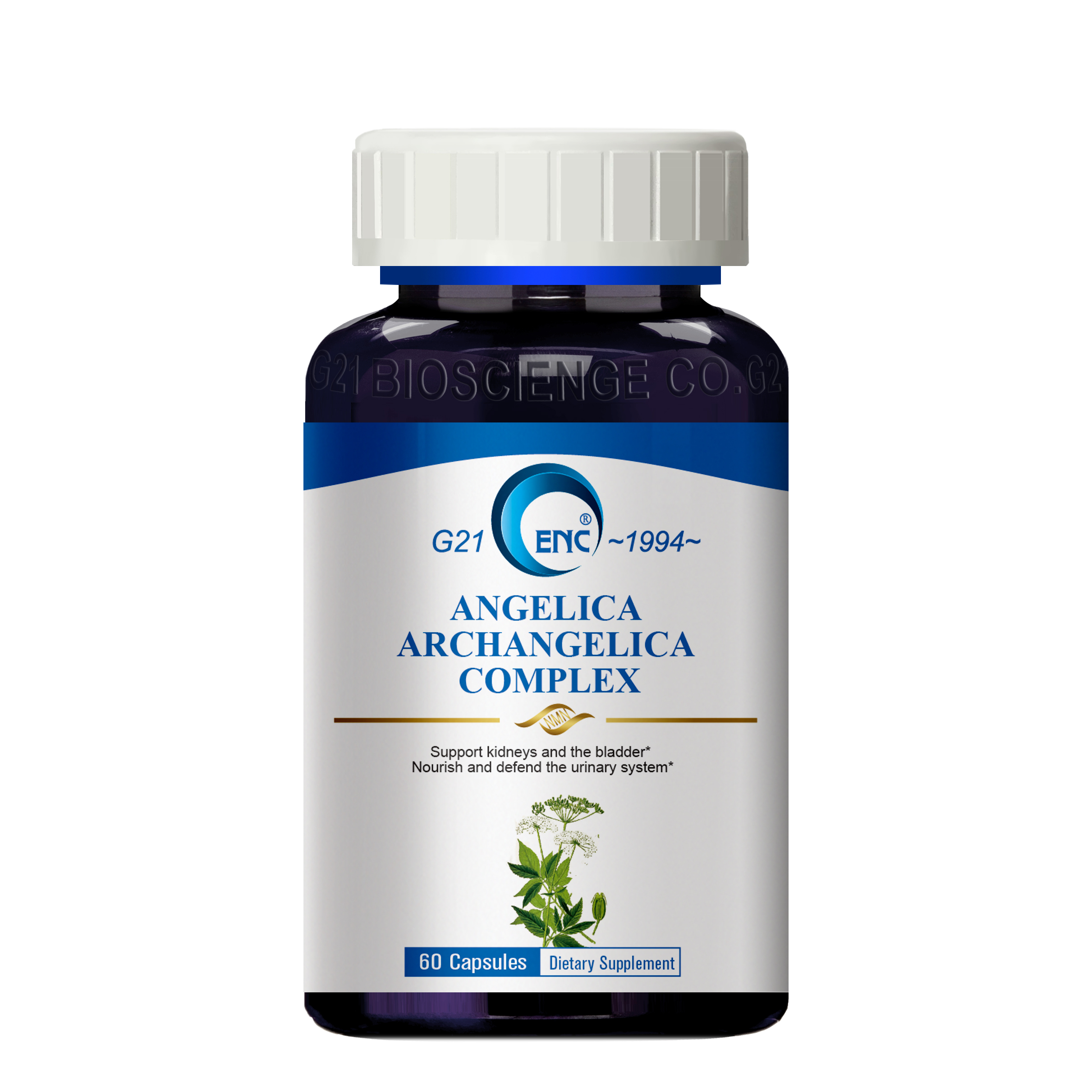 ANGELICA ARCHANGELICA COMPLEX